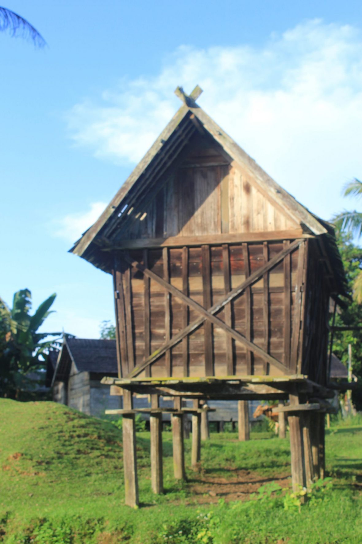 Dayak Longhouse | Orangutan tours in tanjung puting
